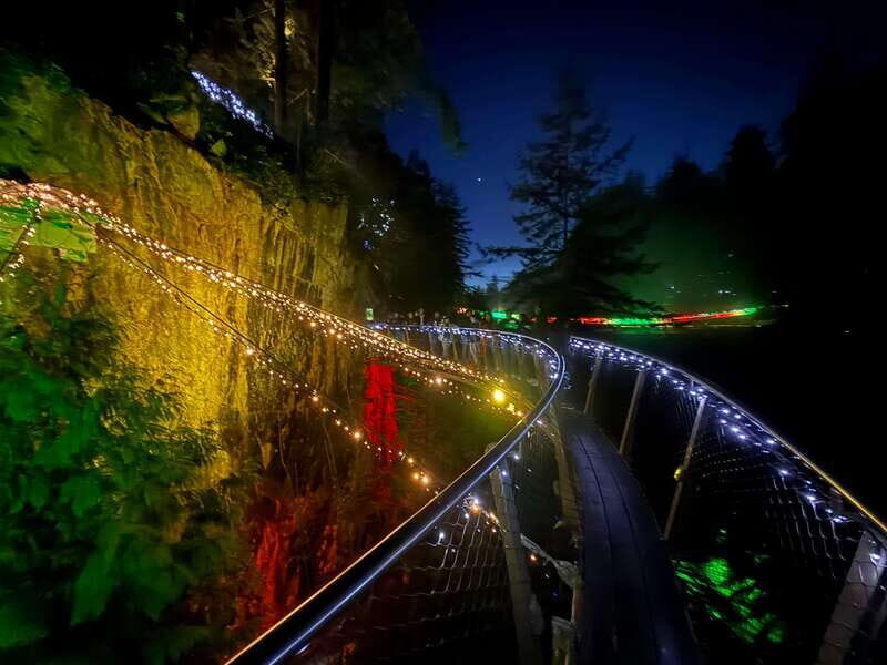 Capilano Suspension Bridge/Private/Small Group/By LUX CAR - The Sum Up