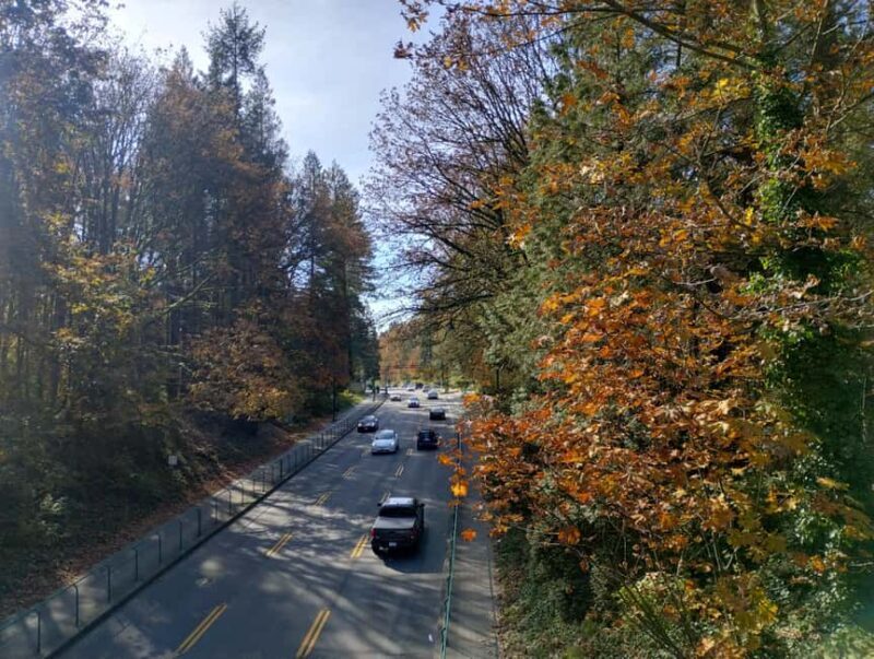 Capilano Suspension Br+Lake+Dam+Hachery/4in1/CAR/Small GROUP - Frequently Asked Questions