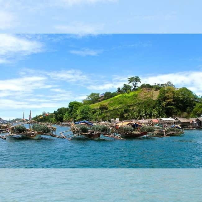 Capiz: Seafood Fiesta Culinary Tour - The Sum Up