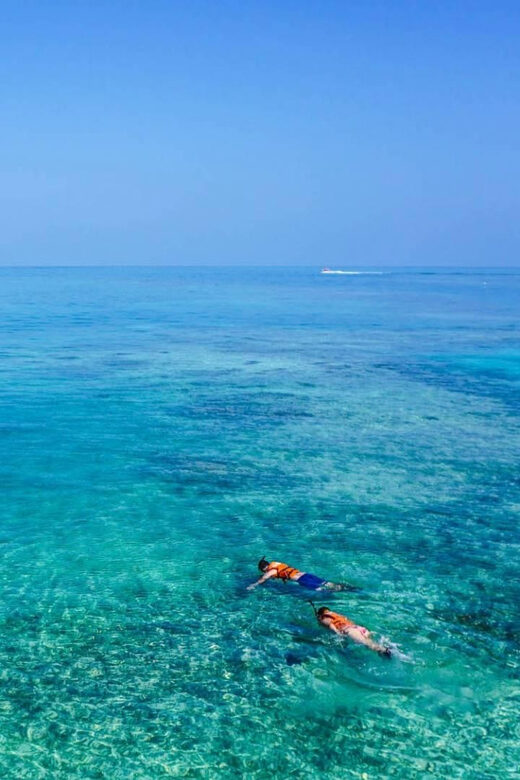 Capo Rizzuto: Explore seabed with an underwater vision boat - The Experience in Detail