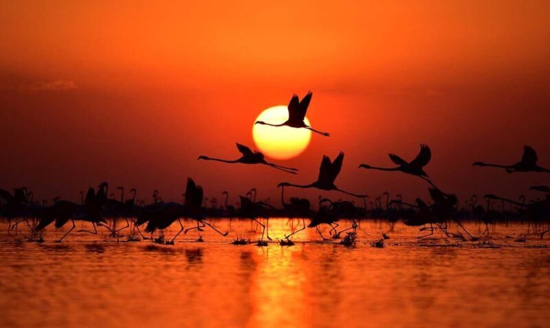 Cappadocia Amazing Sunset Tour To Salt Lake - Who Should Consider This Tour?