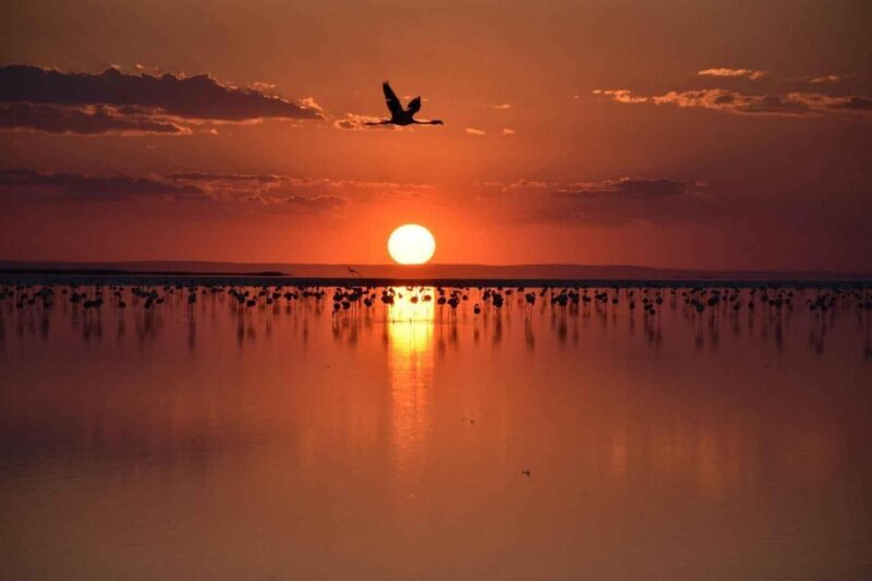 Cappadocia Amazing Sunset Tour To Salt Lake - The Sum Up: Is the Salt Lake Sunset Tour Worth It?