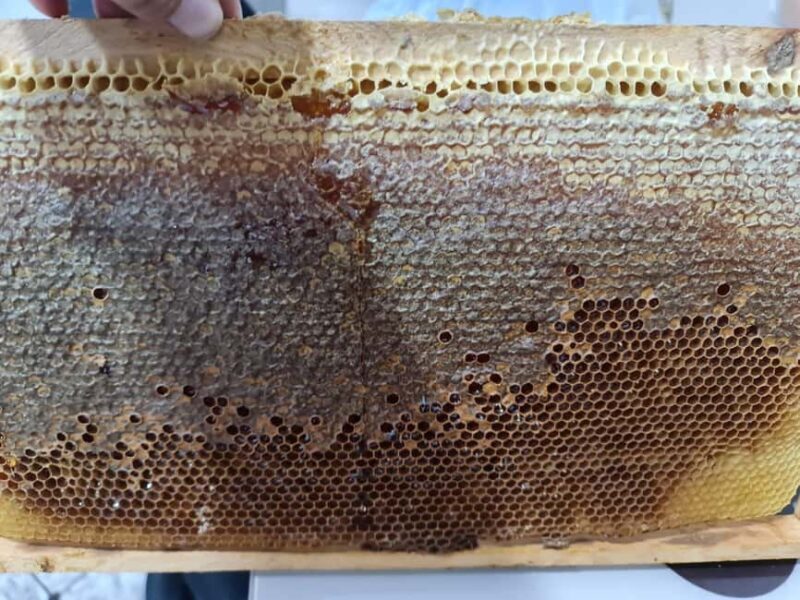 Cappadocia: Beekeeping Experience with Honey Tasting - An Authentic Look at Beekeeping in Cappadocia