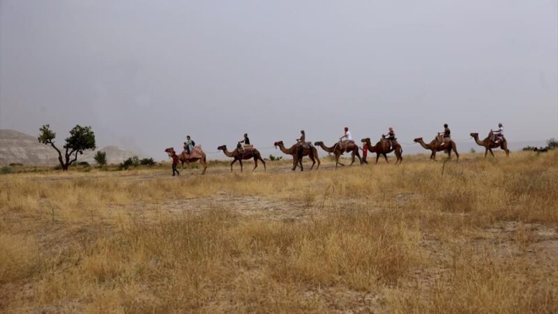 Cappadocia Camel Ride among the Fairy Chimneys - Who Will Love This Tour?