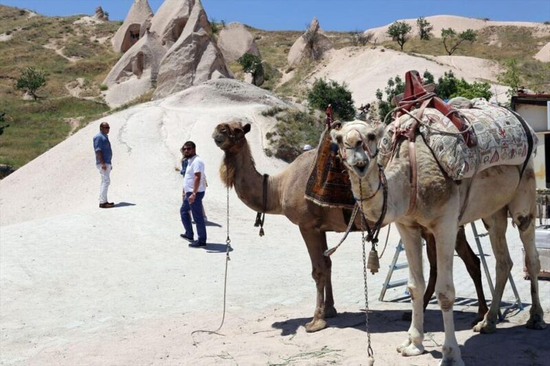 Cappadocia Camel Ride among the Fairy Chimneys - Final Thoughts: Is It Worth It?