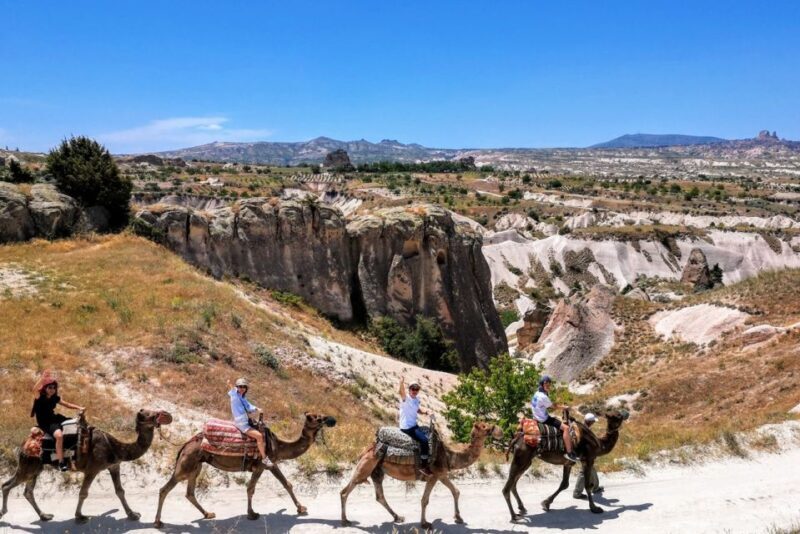 Cappadocia: Camel Safari - Final Thoughts: Is it Worth It?