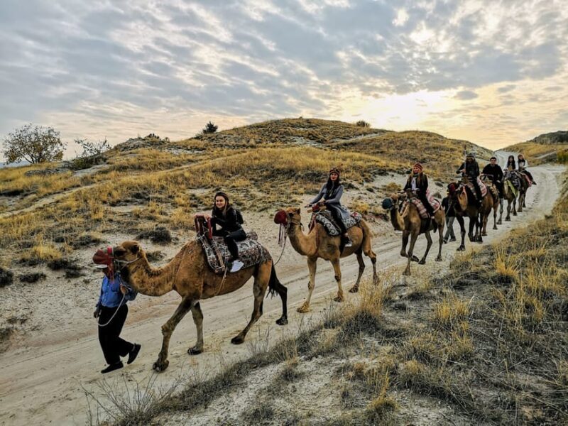 Cappadocia Camel Safari Tour - The Guides and Group Dynamics