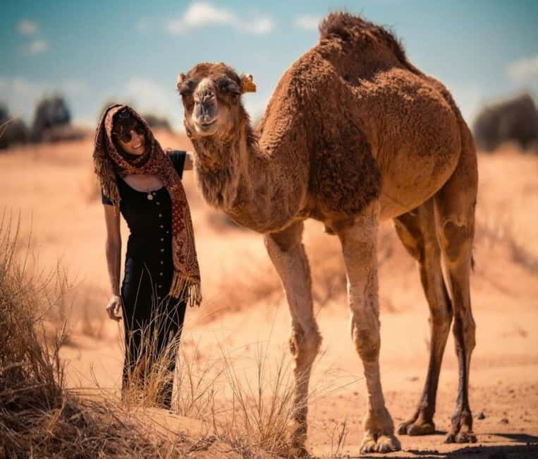 Cappadocia: Camel Safari Tour with Transfer - Key Points