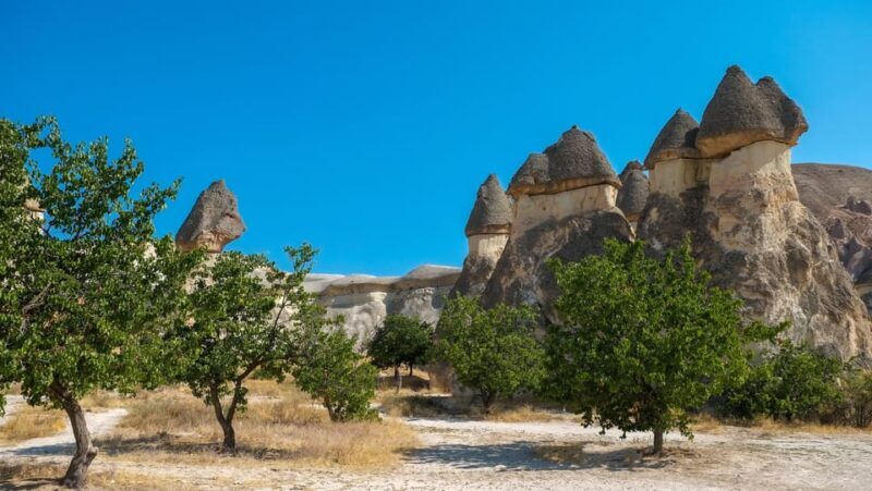 Cappadocia Excursion: Full-Day South Tour with Expert Guide - Authentic Experiences to Look Forward To