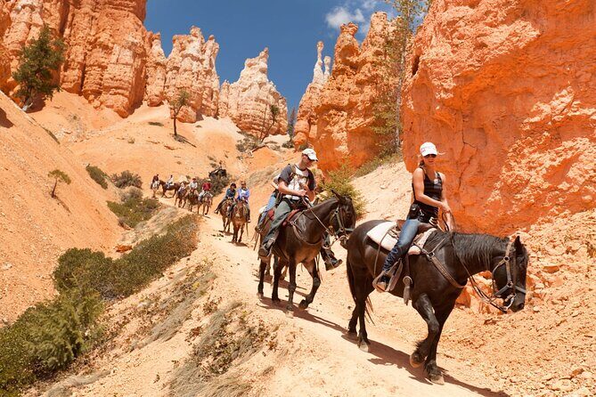 Cappadocia: Fairy Chimneys Horseback Riding Adventure - Who Will Love This Tour?
