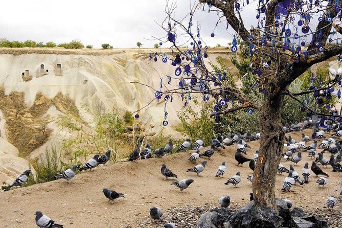 Cappadocia: Green Tour and Sunrise Balloon Tour - Final Thoughts