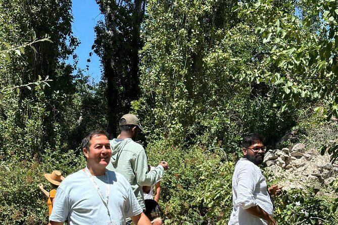 Cappadocia Green Tour Wthout Walking in Valley With Lunch,Ticket - What Travelers Say
