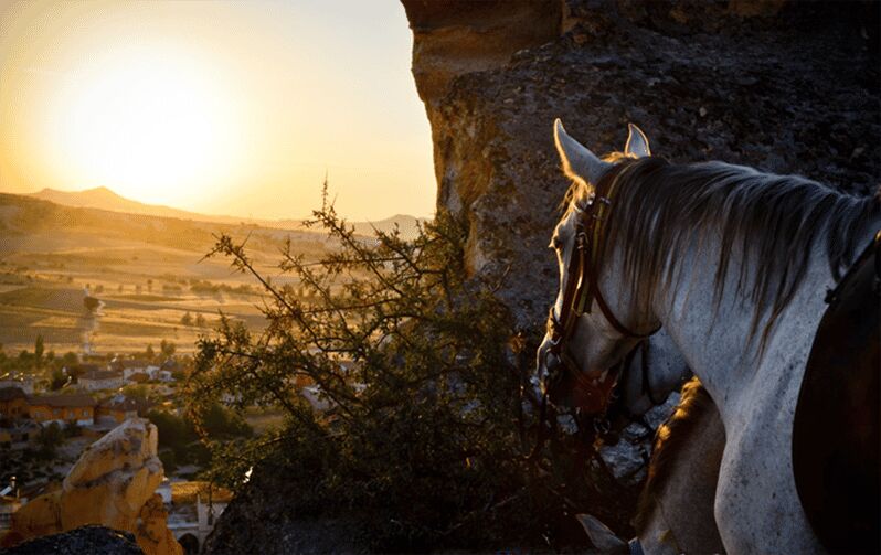 Cappadocia Horse Riding &Atv Quad Bike & Shooting with Camel - Who Will Love This Tour?