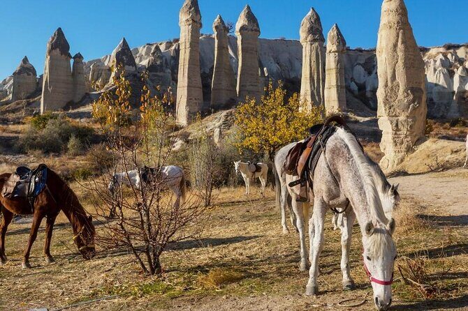 Cappadocia Horse Riding Experience Sunrise Sunset Daytime - The Itinerary: What to Expect