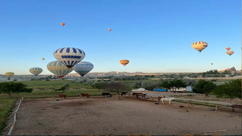 Cappadocia: Hot Air Balloon Flight with Hotel Pickup - An In-Depth Review of the Hot Air Balloon Experience in Cappadocia