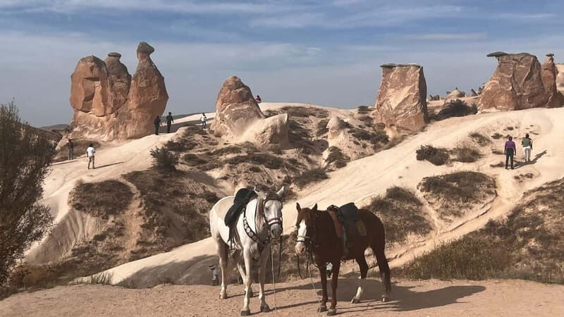 Cappadocia Private Combined Tour with Lunch - Who Is It Best For?
