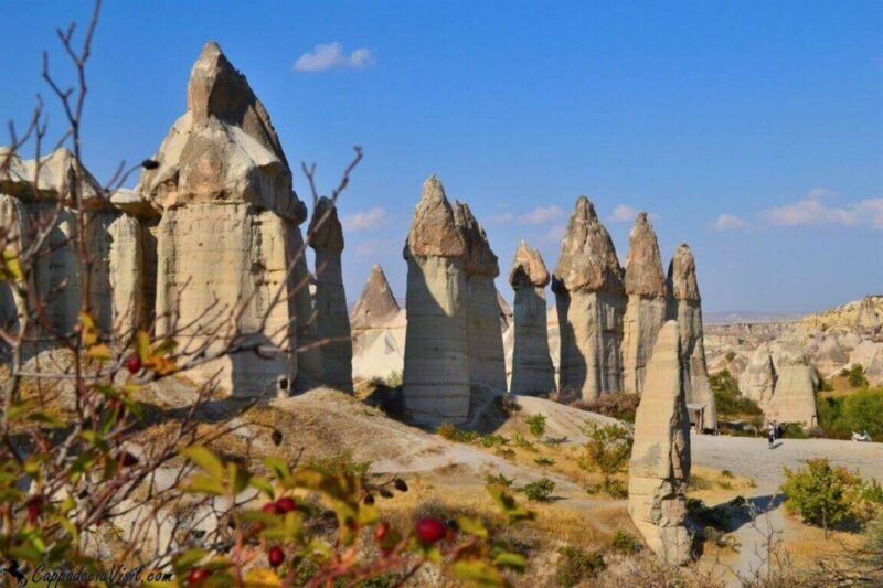 Cappadocia Red Tour with Goreme Open Air Museum and Pasabag - Authentic Experiences and Insights from Travelers