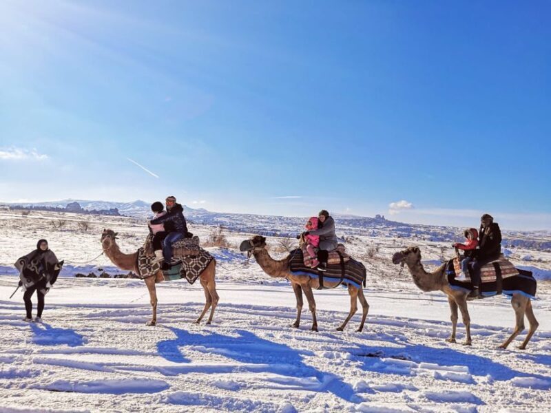 Cappadocia: Valleys Highlights Camel Tour with Hotel Pickup - Who Would Love This Tour?