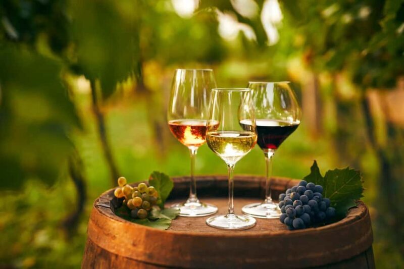 Cappadocia Wine Tasting Experience - Key Points