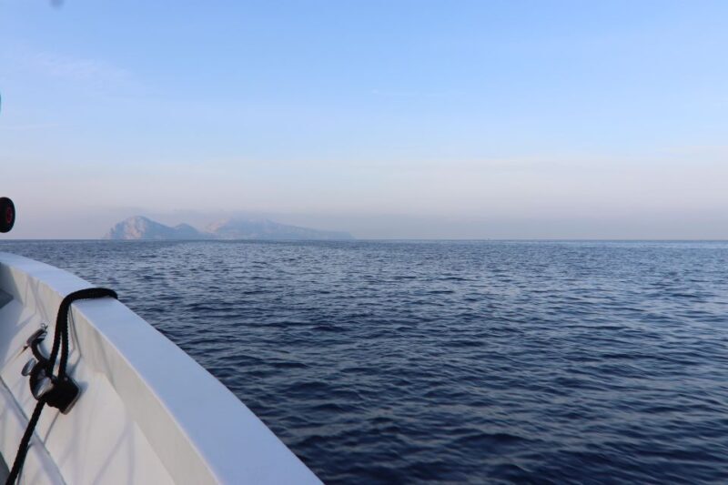 Capri and Anacapri tour: Faraglioni and Caves from Sorrento - Who Should Consider This Tour?