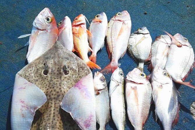 Capri Fishing Excursion with Snorkeling and Lunch from Sorrento - Key Points