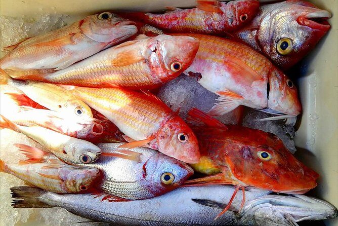Capri Fishing Excursion with Snorkeling and Lunch from Sorrento - Authentic Experiences and Highlights