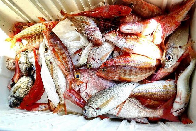 Capri Fishing Excursion with Snorkeling and Lunch from Sorrento - FAQ