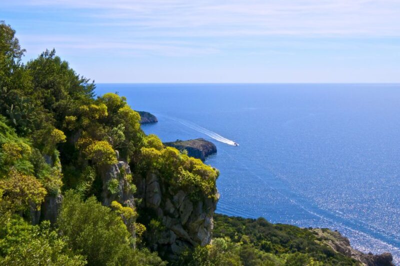 Capri: Guided Island Highlights Boat Tour - What You’ll Love About This Tour