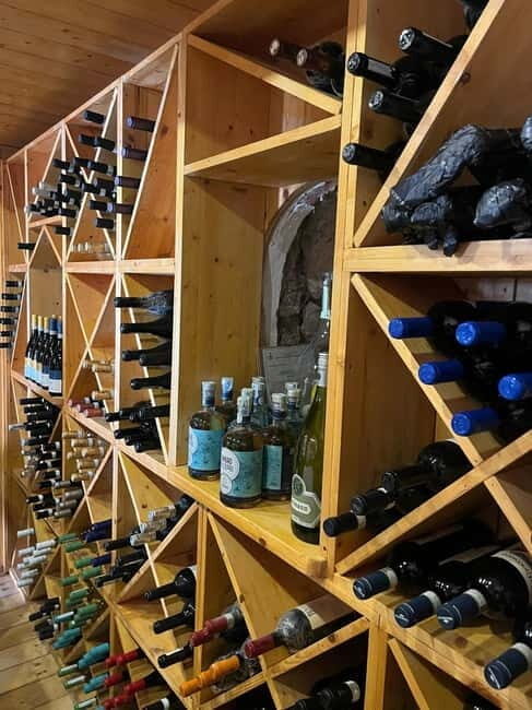 Capri: Premium Wine Tasting Experience with Faraglioni Views - How About the Value?