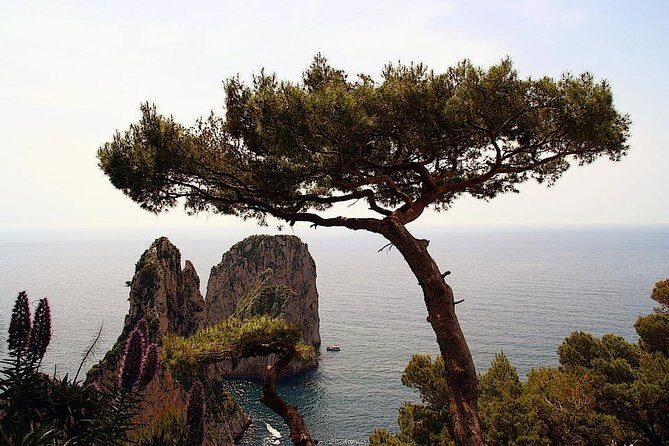Capri Private Full Day Tour from Rome - An Overview of the Experience