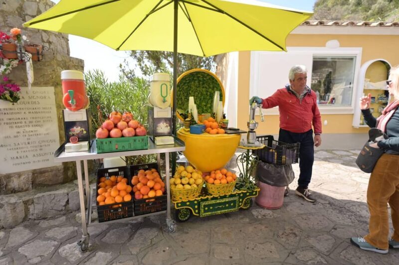 Capri Private Walking Tour - Who Should Book This Tour?