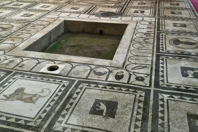 Capri, Sorrento and Pompeii Private Tour - FAQ about the Capri, Sorrento, and Pompeii Private Tour