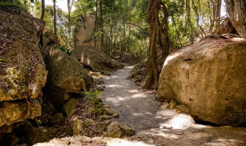 Capricorn Caves, Australia: 45-Minute Cathedral Cave Tour - What to Expect from Your Capricorn Caves Tour