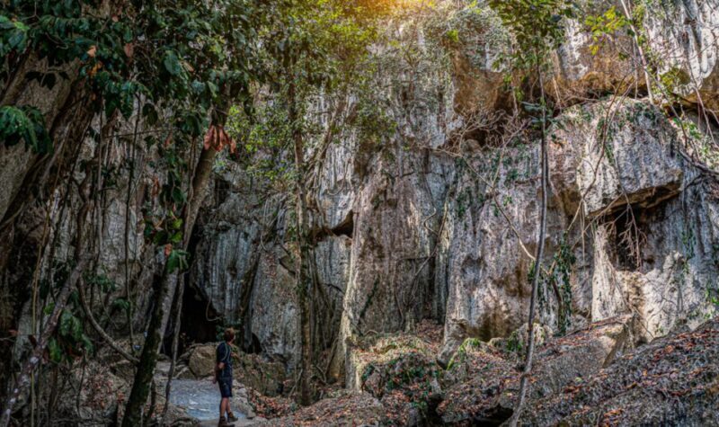 Capricorn Caves, Australia: 45-Minute Cathedral Cave Tour - Who This Tour Is Best For