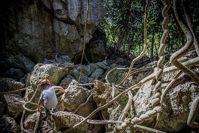 Capricorn Caves Capricorn Explorer - Introduction: Discover the Hidden Gems of Capricorn Caves with the Capricorn Explorer Tour