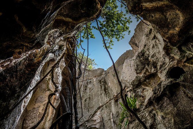 Capricorn Caves Capricorn Explorer - Key Points