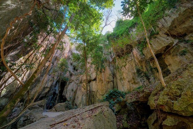 Capricorn Caves Cathedral Cave Tour - The Guided Tour: A Balance of Education and Entertainment