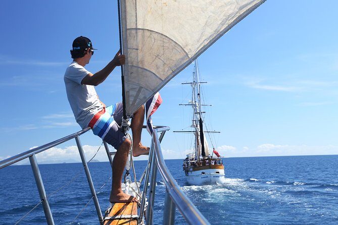 Capt Cook Cruises Super Saver Combo: Day Sail + Dinner Cruise - Final Thoughts