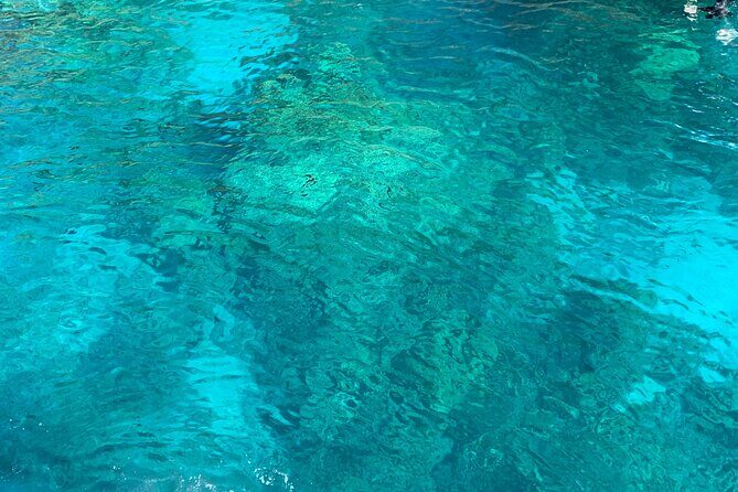 Captain Cook Reef Snorkeling of Kealakekua Bay - Who Is This Tour Best For?