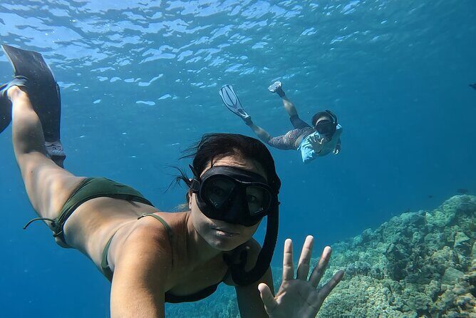 Captain Cook Reef Snorkeling of Kealakekua Bay - FAQs