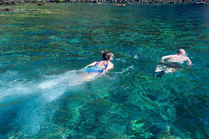 Captain Cook Snorkel On A Power Catamaran With Lunch - FAQs