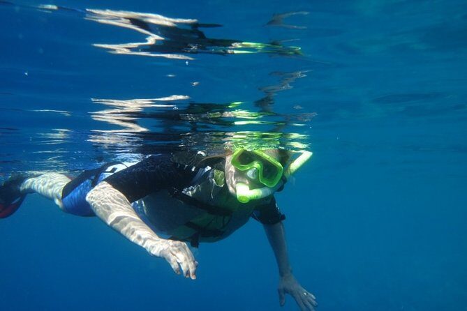 Captain Cook Snorkeling Cruise | Departs from Honokohau Harbor - Return Journey and Coastal Views