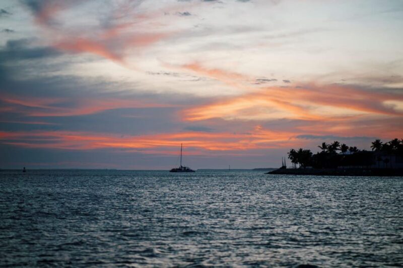 Captain's Choice: Dolphin Watch Sunset Sail - Final Thoughts on the Captains Choice Dolphin Watch Sunset Sail