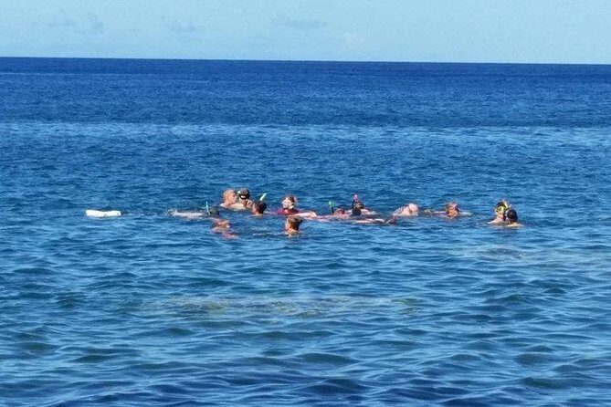 Captain's Most Popular Snorkeling and Beach Day with Lunch - What Makes This Tour Stand Out