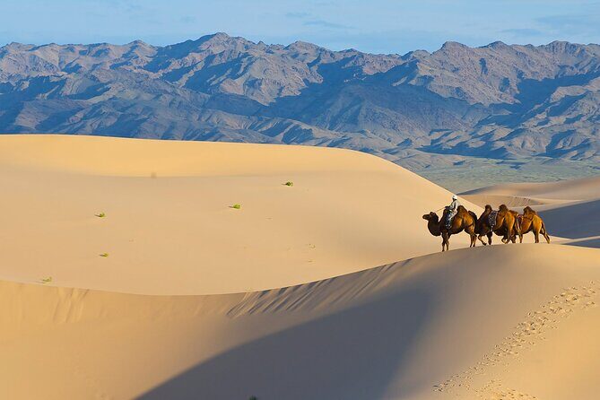 Captivating Central Mongolia with Guide - Why We Like This Tour