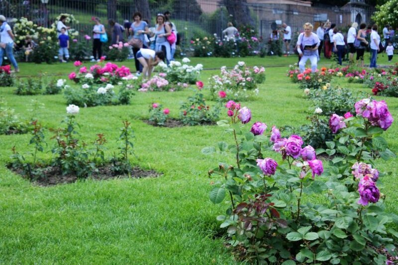 Captivating Pearls of Rome Family Walking Tour - The Practical Side