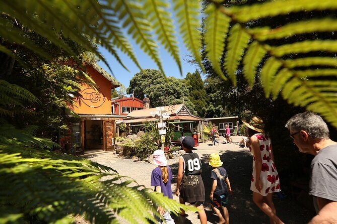 Captivating Railway Journey in Coromandel - The Story Behind the Railway