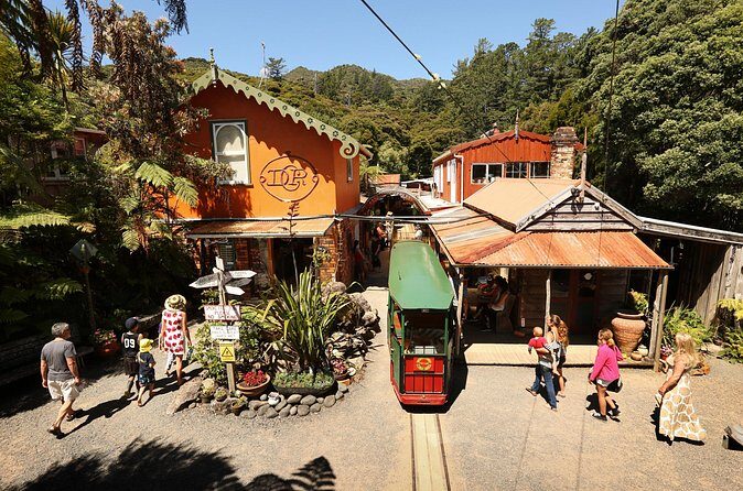 Captivating Railway Journey in Coromandel - Authentic Reviews and Perspectives