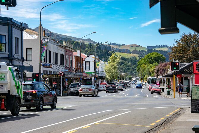 Captivating Side of Dunedin Private Walking Tour for Couples - Who Will Love This Tour?