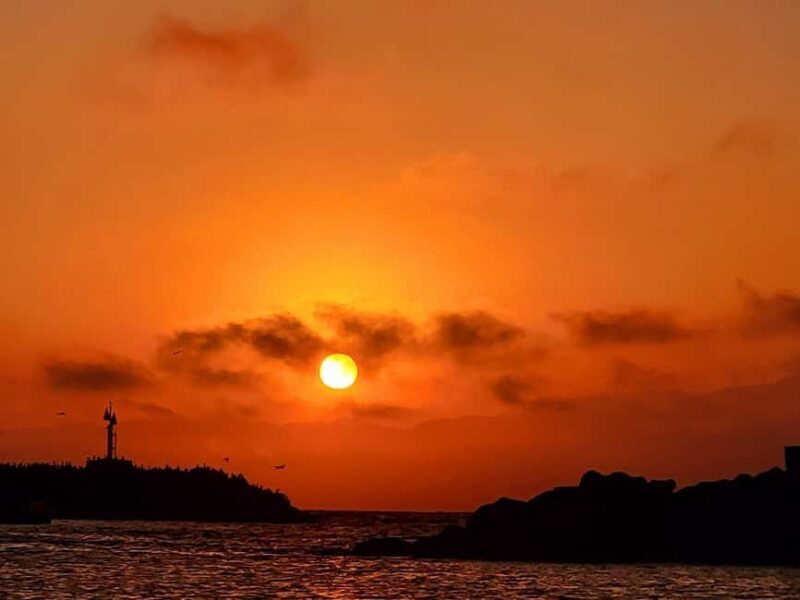Capture LA's Coastal Magic-Wildlife, Marina Photography Tour - The Practical Details and Value